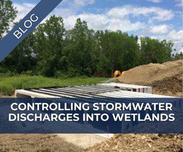 Stormwater Discharge into Wetlands