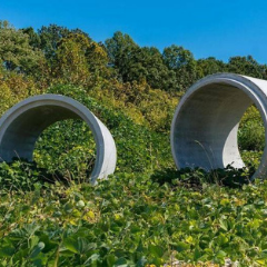 Sustainability Series – Part 1